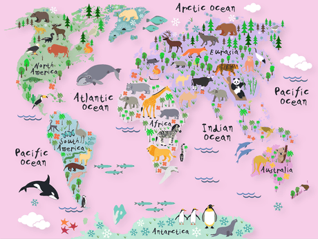 Best World Map Wall Decals | Map Wall Stickers